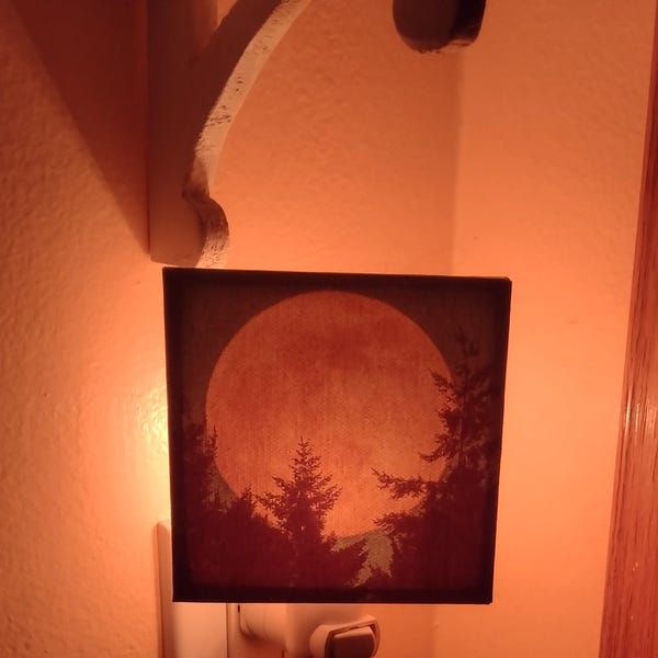 Canvas Owl Night Light, Owl Gift, Plug in Night Light, Barred Owl ...