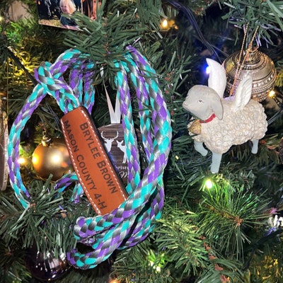 Custom Cattle Rope Halters - Etsy