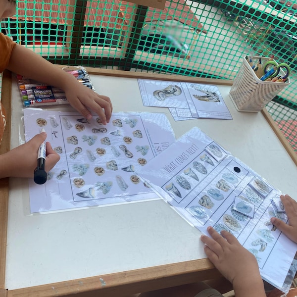 MALLARD DUCK Anatomy, Poster + Labeling and Tracing Activities ...