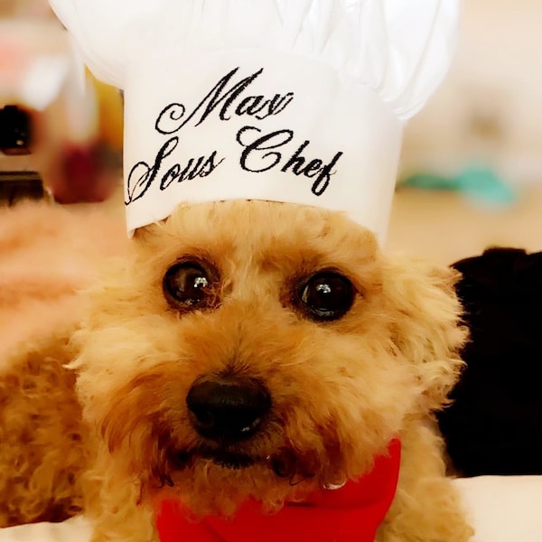 Chef Dog Costume Hat and Red Scarf - Etsy