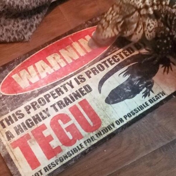 Funny Opossum Warning Sign, Opossum Decor, Marsupial, Wildlife Decor ...