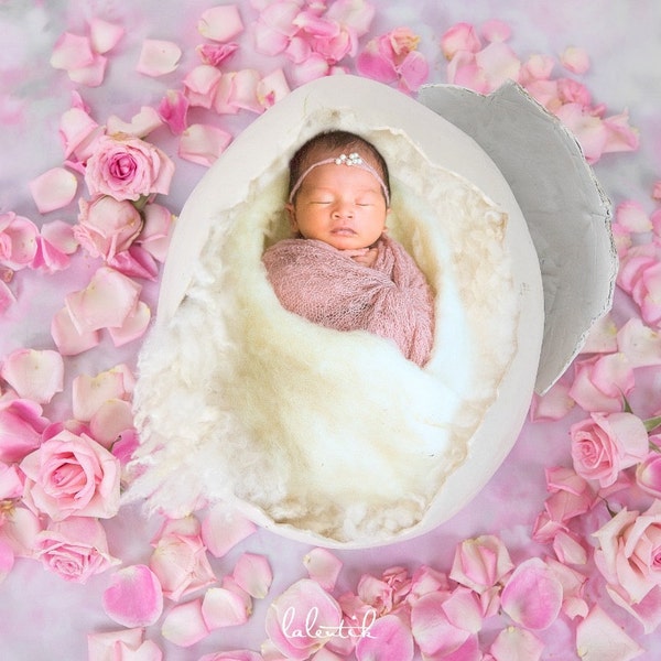 Newborn Digital Backdrop, Digital Newborn Egg Prop With Roses Around ...