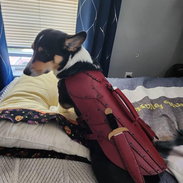 Heimdall Leather Dog Harness Armor - Etsy