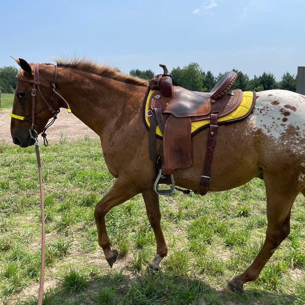 Custom Boot Bag - Green Lemons and Bees Floral - Etsy