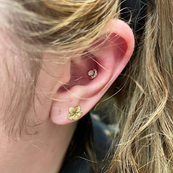 16G Crescent Moon and Stone Surgical Steel Stud Piercing, Cartilage ...