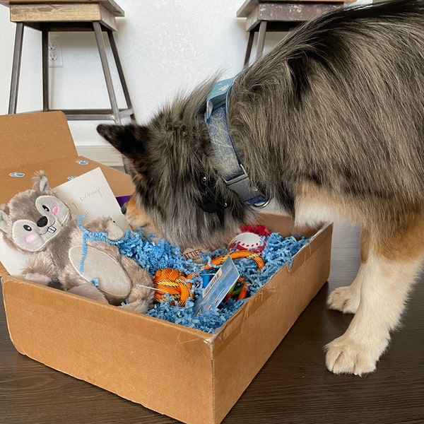 Double Pup Parcel - Doggy Gift Box - EIGHT Toys/treats! - Etsy