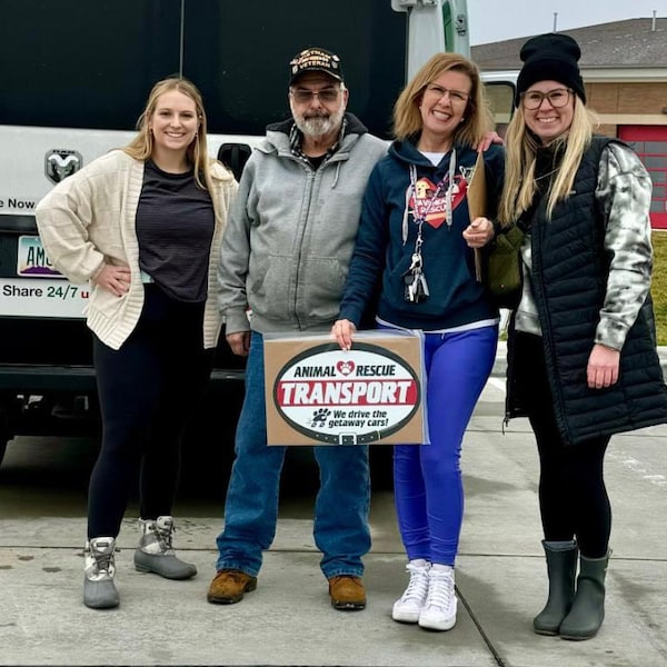 DECAL - I Love Feral Cats - 4x6 Oval - TNR - Trap Neuter Return - Cat ...