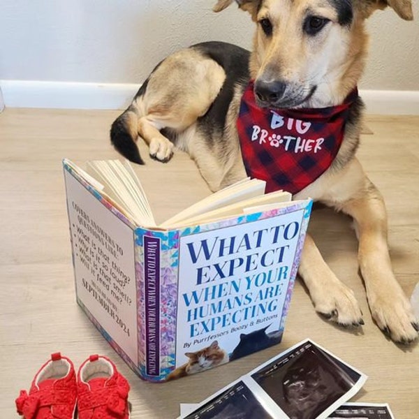 CUSTOM Funny Pregnancy Announcement - What to Expect When Your Humans ...