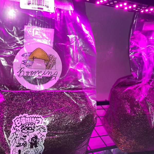 FIVE Magical 5lb All in One Mushroom Growing Bags Discounted Listing ... FIVE Magical 5lb All in One Mushroom Growing Bags Discounted Listing ...