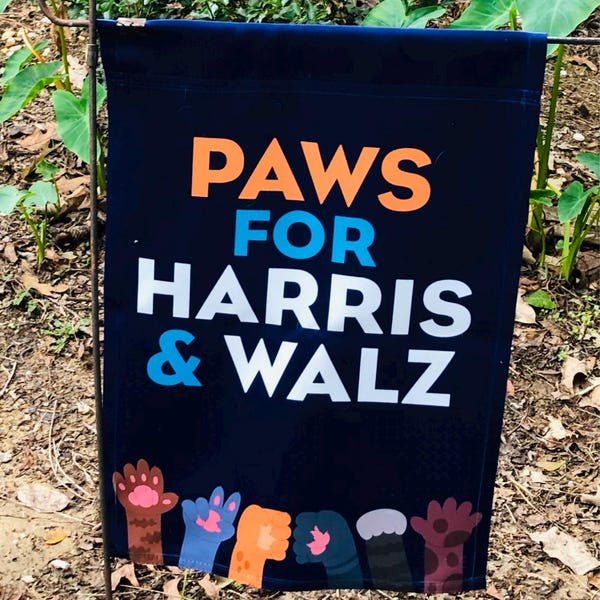 Custom Big Large Face Fans With Wooden Handle, Wedding Heads ...