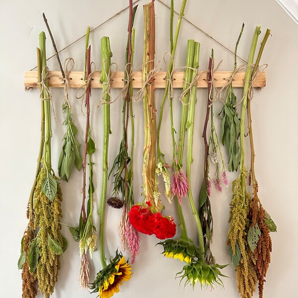 24 Dried Herb Ceiling Hanger Frame Chili Pepper Garlic Orange Drying ...