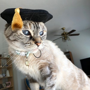 Marine Captain Mini Hat Cat Captain Hat Original Design - Etsy