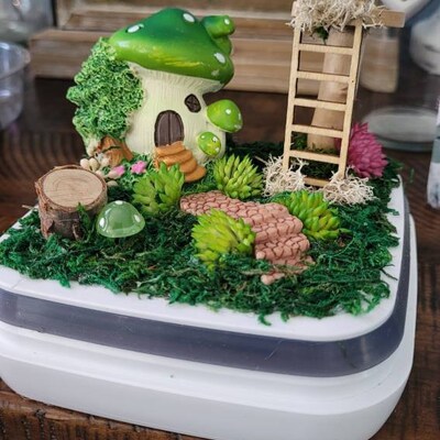 Jumping Spider Food Dish, Jumping Spider Enclosure , Accessories for ...