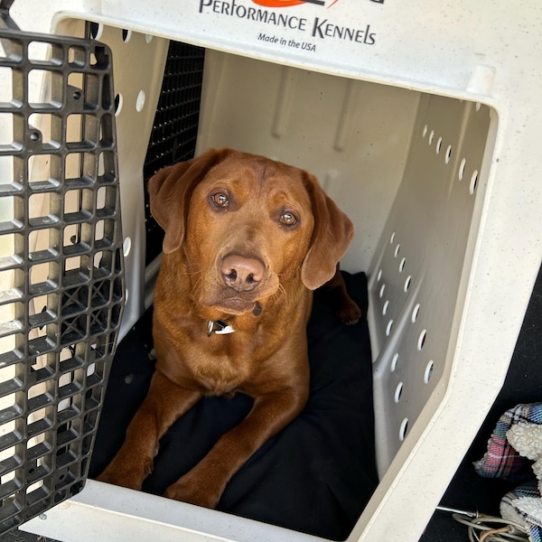 Waterproof Mats for Double Variocage | Set of 2 Mats | Easy to Clean ...