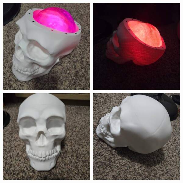 High Detail Human Skull Container - Goth Storage Solution - Skull Box ...