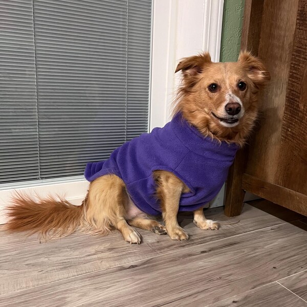 Dog Fleece Polo PDF Sewing Pattern Sizes XXS to 3XL (8 Sizes) Instant ...