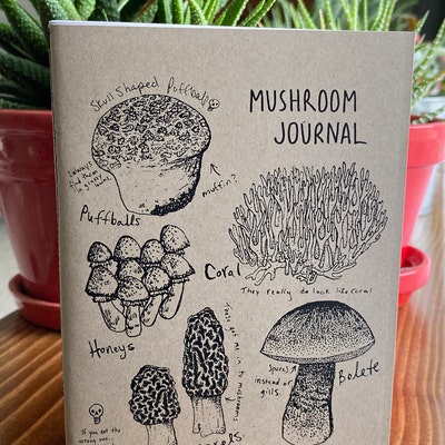 Mushroom Journal FORAGING Field Guide Notes for Edible Mushrooms Zine ...