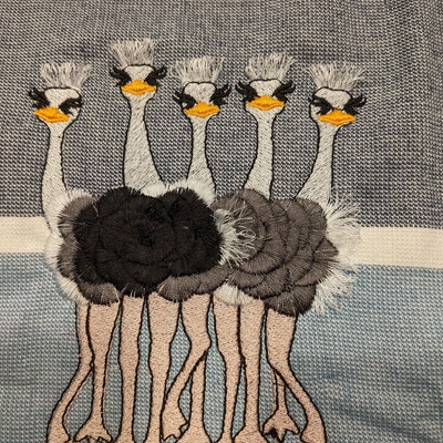 Fringed Fluffy Flock of 5 Ostriches Group of Ostriches Machine ...