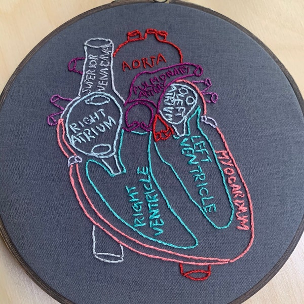 DIY Heart Anatomy Embroidery Pattern, Heart Embroidery, Anatomical ...