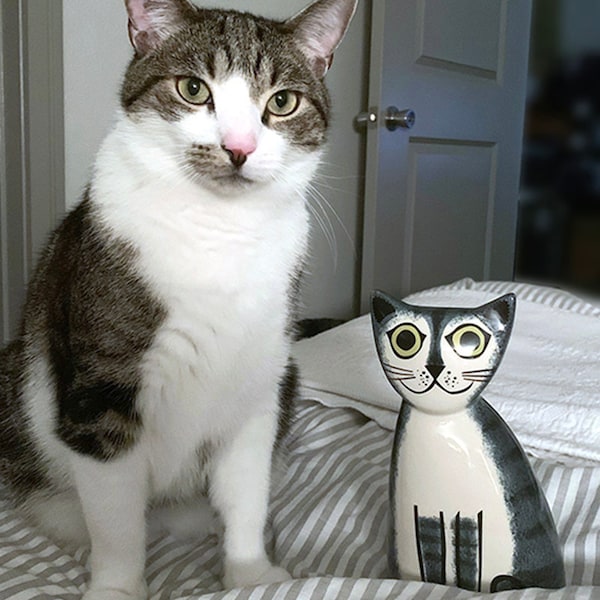 Handmade Ceramic Cat Money Box, Designed in the UK by Hannah Turner ...