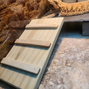 INDOOR Guinea Pig Ramp, Rabbit Ramp, Hedgehog Ramp With Sides Option 5. ...