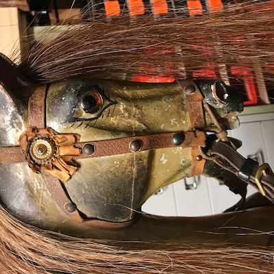 Giant Horse Skin Hide Real Natural Area Rug Living Room - Etsy