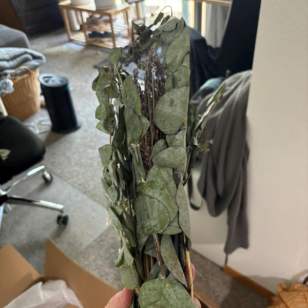 Fresh Eucalyptus Wreath 20" - Etsy