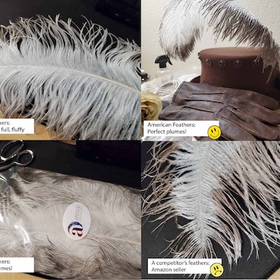 Natural Ostrich Wing Plumes per 5 Feathers - Etsy