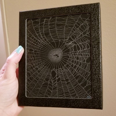 Real Framed Preserved Orb Weaver Spider Web USA - Etsy