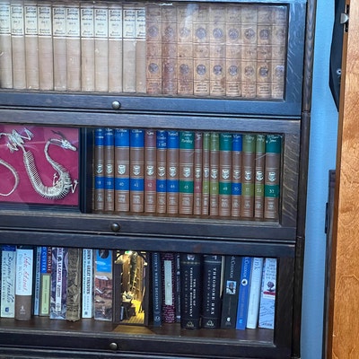 Sphinx Skeleton Curiosity Cabinet - Etsy