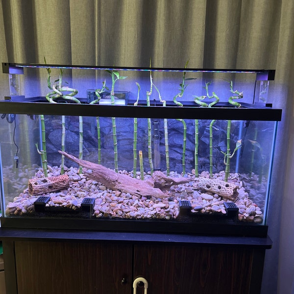 Hygger Advanced Light Riser, Attractive Stable Elevated Stand, Quality ...