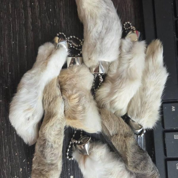 Lucky Rabbit's Foot Genuine Rabbit's Feet Key Chains Qty 12 One Dozen ...