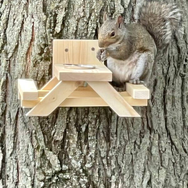 Squirrel Picnic Table, Squirrel Feeder, Picnic Table for Squirrel, Fence Picnic Table for ...