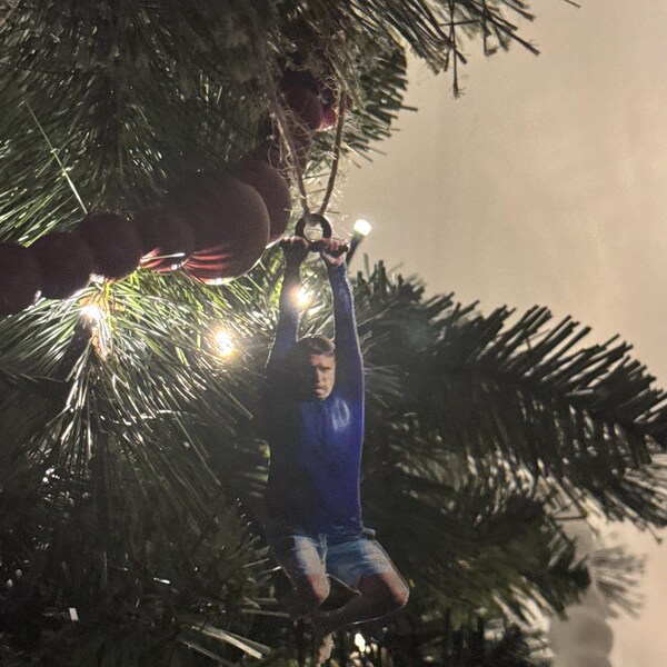 Tim Robinson on a Zipline Meme Car Air Freshener - Etsy