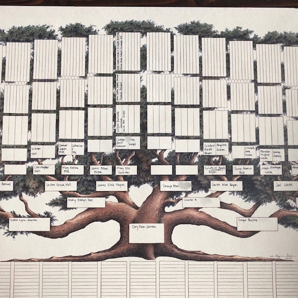 Family Tree Scrapbook Chart 12x12" Displays 5-6 Generations by Raymon ...