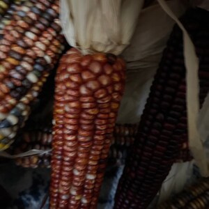 Mini Indian Corn Wreath KIT: Make Your Own Choose From a | Etsy