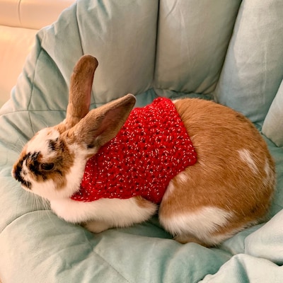 Rabbit Clothes, Rabbit Sweater, Rabbit Costume, Sweater for Bunny ...