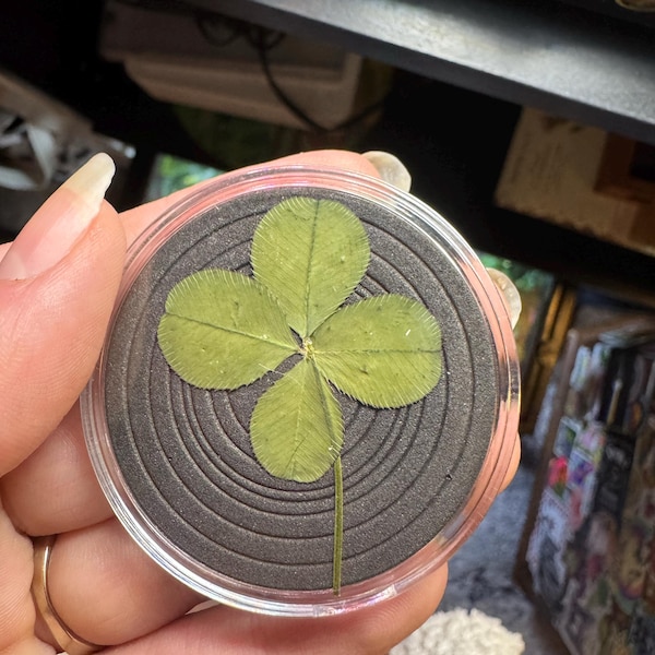 Mini Wet Specimen Mystery Box | Fluid Preserved Taxidermy Oddities ...