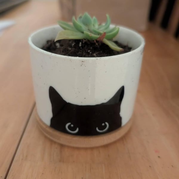 Black Cat Succulent Pot | Black Cat Planter | Cat Lover Gift | Cat Pot ...