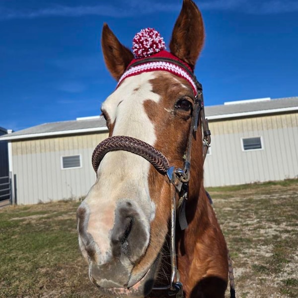 Crochet Horse Bonnet - Etsy