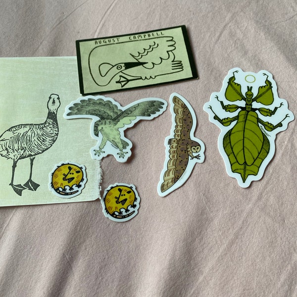 Brown Bullhead Sticker - Etsy