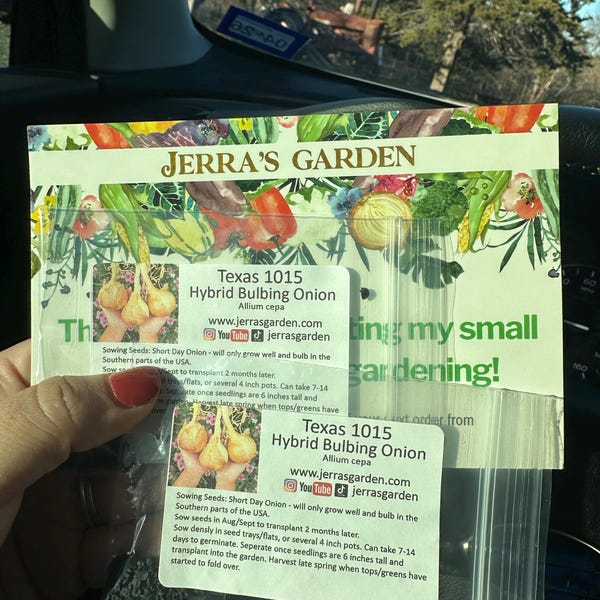 Tromboncino Rampicante Huge Italian Heirloom Zucchini Squash Vegetable ...