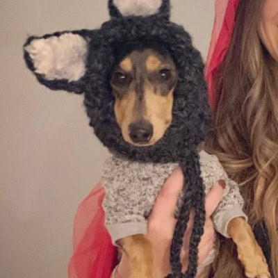 Fox or Wolf Dog Snood Foxy Halloween Costume Gift for - Etsy