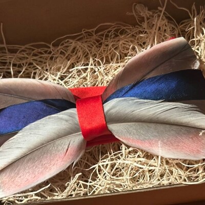 Vase or Centerpiece Feather Wraps - Etsy