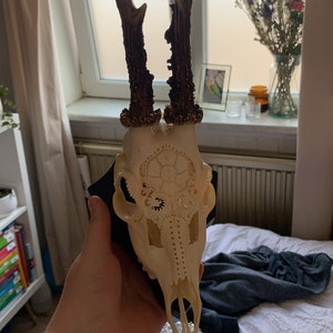 Made to Order Roe Deer Skull Engraved Art Huge Impressive Rose | Etsy