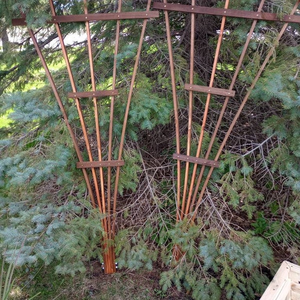 Garden Fan Trellis and Obelisk Plan Bundle / Garden Fan Trellis ...