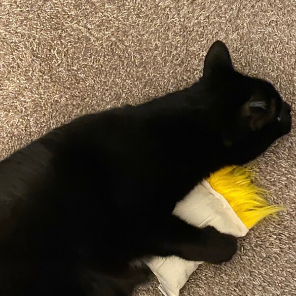 President Donald Trump Kitty Kicker - Cat Toy, Organic Catnip, Handmade ...