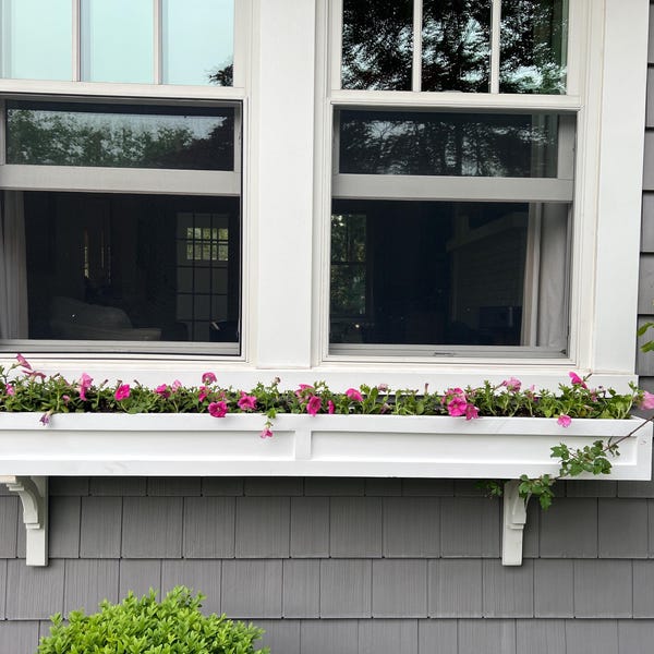 Exterior Shutters 2 Exterior Cedar Shutters With Black Clavos Nails ...