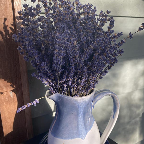 Dried Bunch of 100 Pencil Cattails, Mini Cattails, Fall Decor, Autmun ...