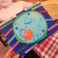 Planet Fandex SVG and PDF- Solar System SVG for Kids - Learning About ...